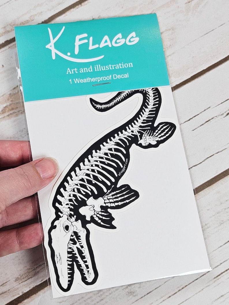 Mosasaur Skeleton Weather Proof Decal - Etsy