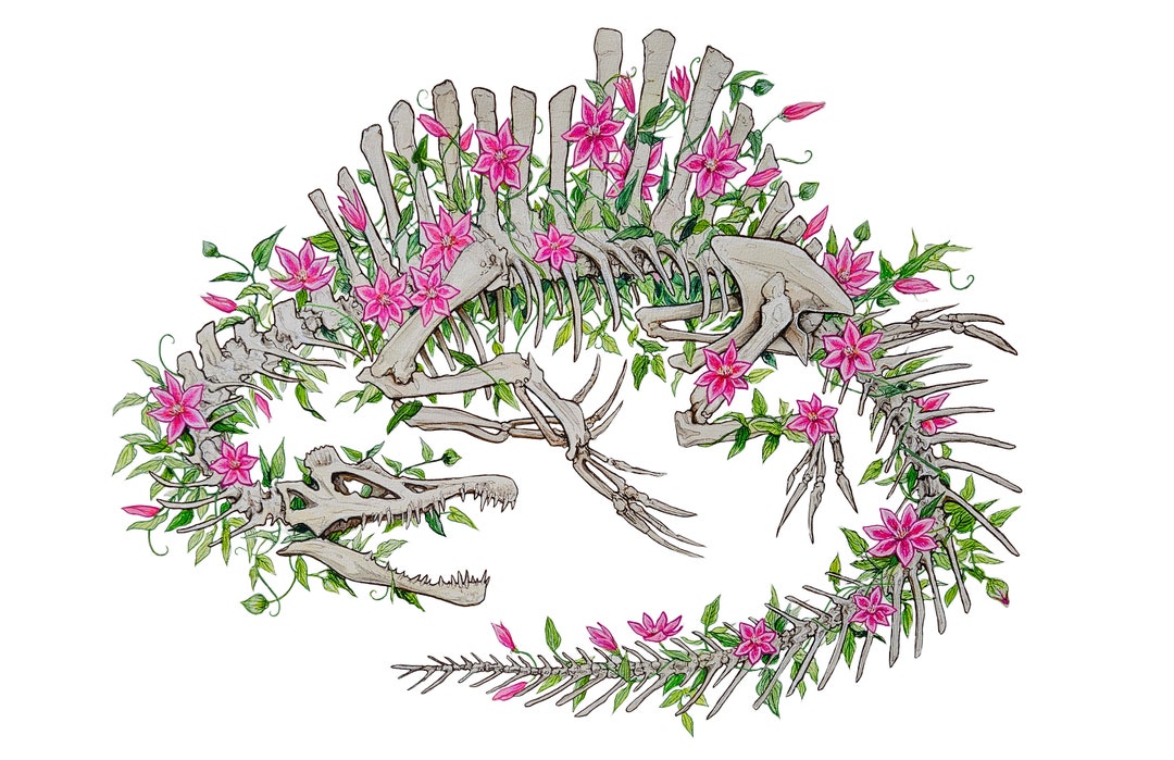 Spinosaurus Bones and Pink Clematis 13x19 Fine Art Print - Etsy