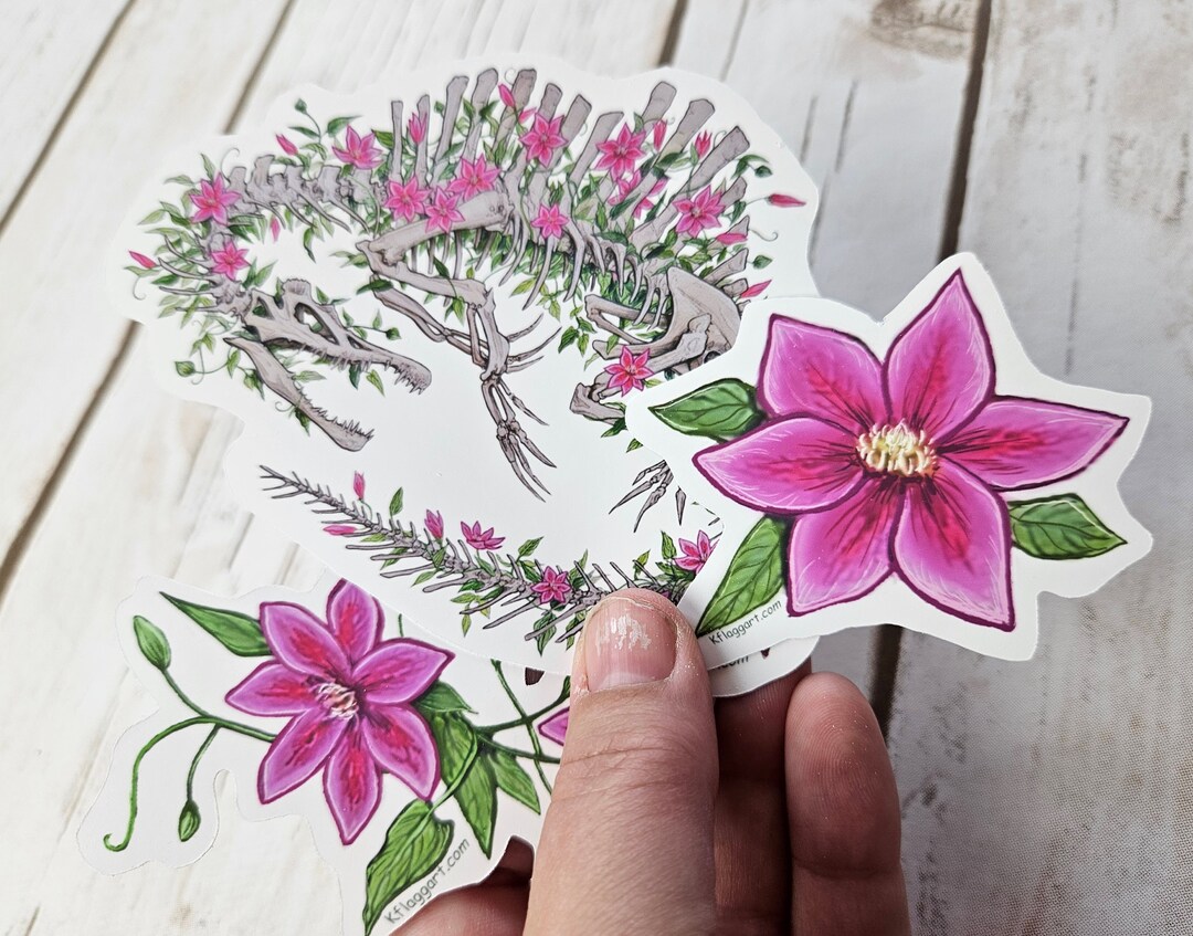 Spinosaurus and Pink Clematis Skeleton Sticker 3-pack - Etsy
