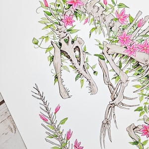 Spinosaurus Bones and Pink Clematis 13x19 Fine Art Print - Etsy