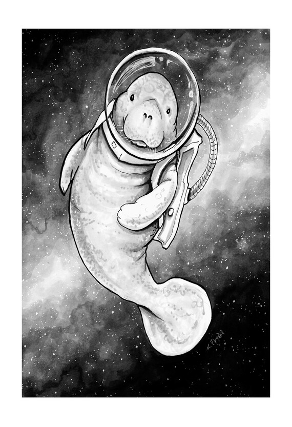 Space Manatee | Etsy