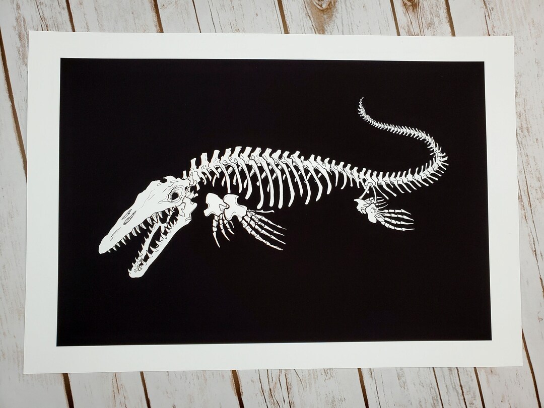 Mosasaurus Bones 13x19 Art Print - Etsy