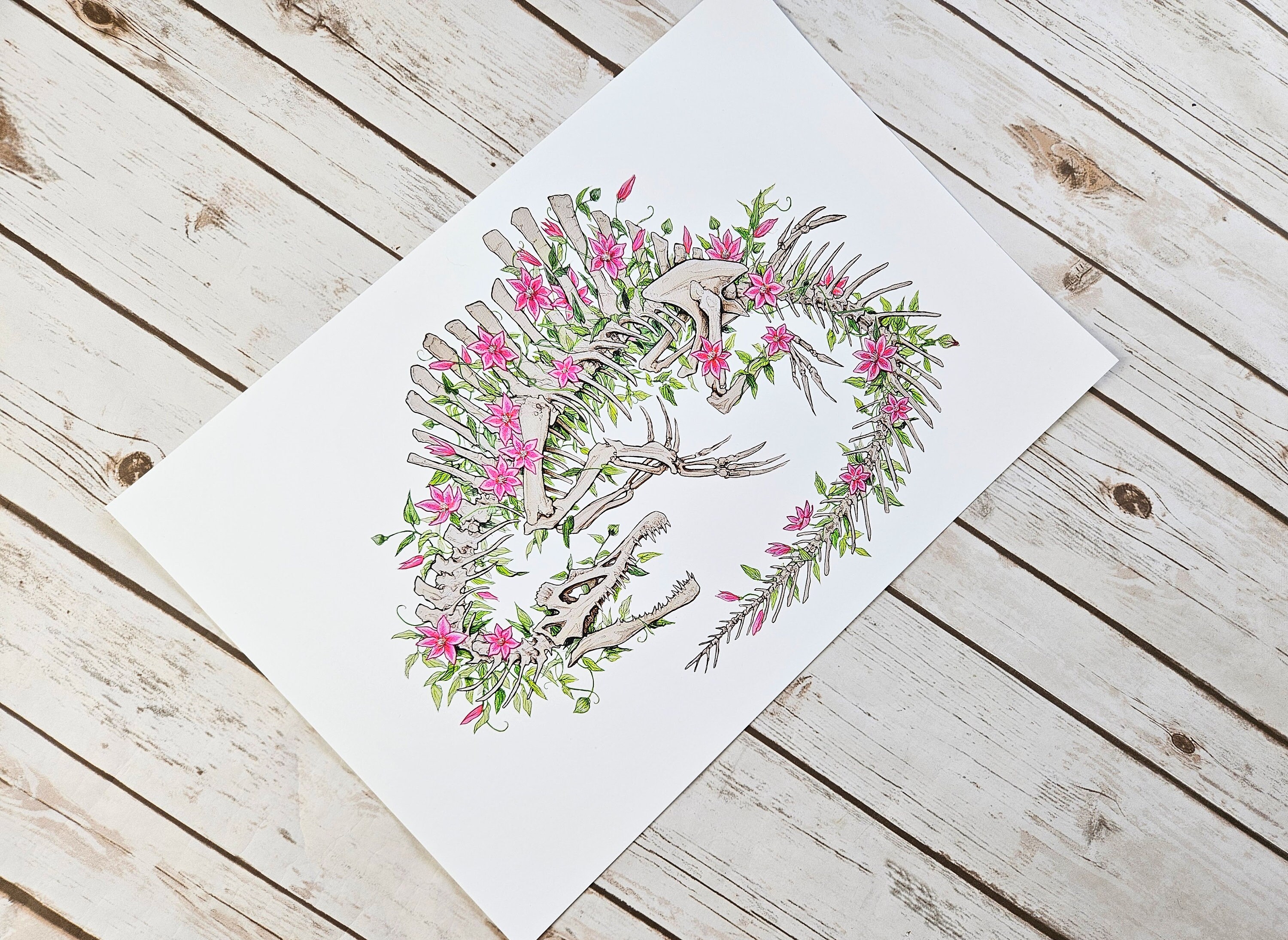 Spinosaurus Bones and Pink Clematis 13x19 Fine Art Print - Etsy