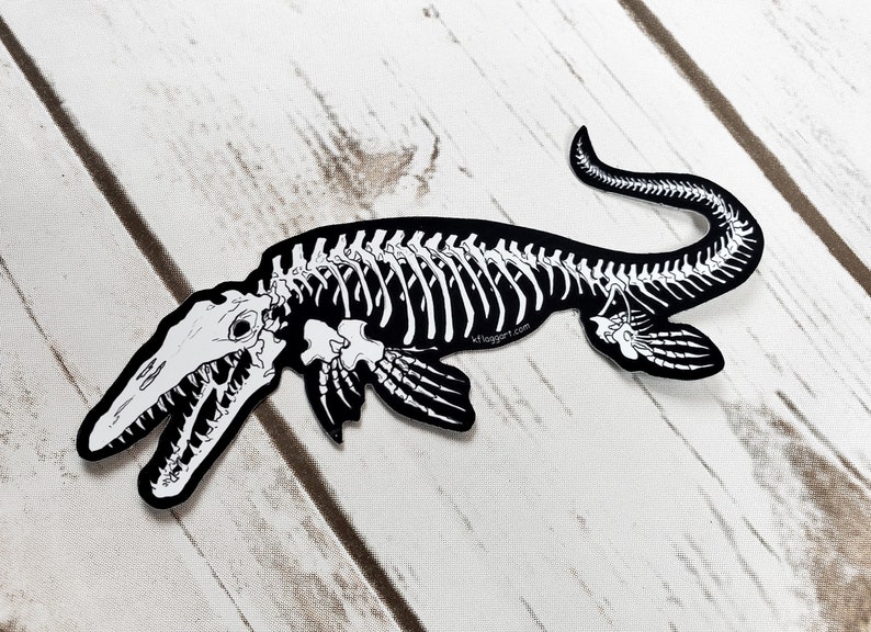 Prehistoric Bones Sticker Pack mosasaurus Plesiosaurus - Etsy