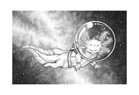 Axolotl in Space 13x19 Fine Art Print | Etsy