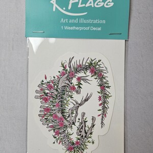 Spinosaurus and Pink Clematis Skeleton Weatherproof Decal Sticker - Etsy