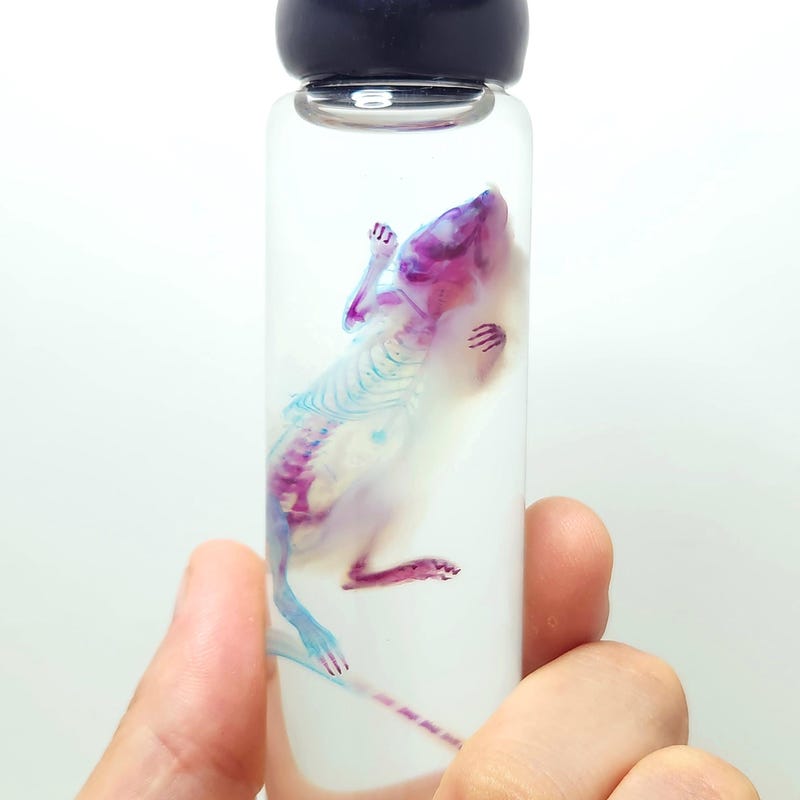 Diaphonization - Etsy