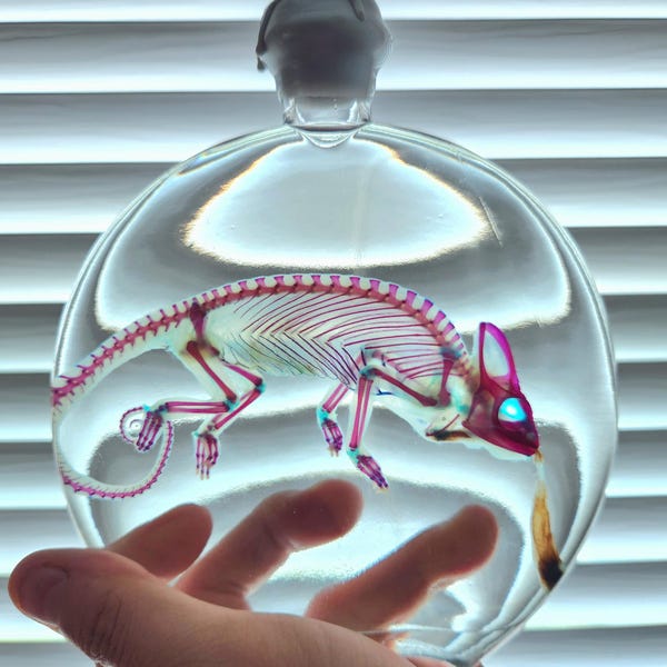 Diaphonization - Etsy