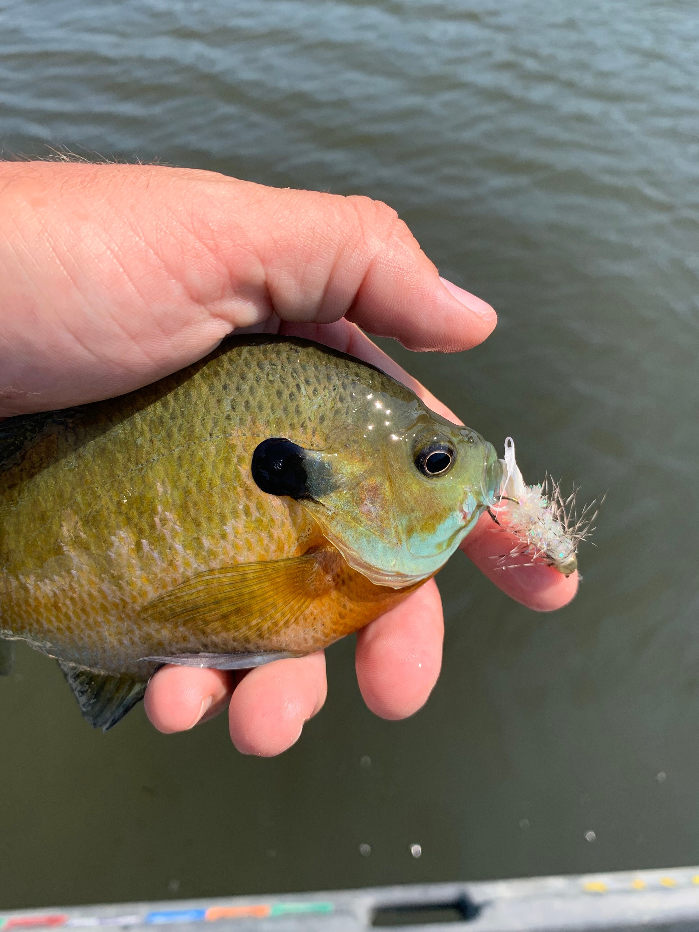 All White Cone Head Wooly Bugger, Streamer - Etsy