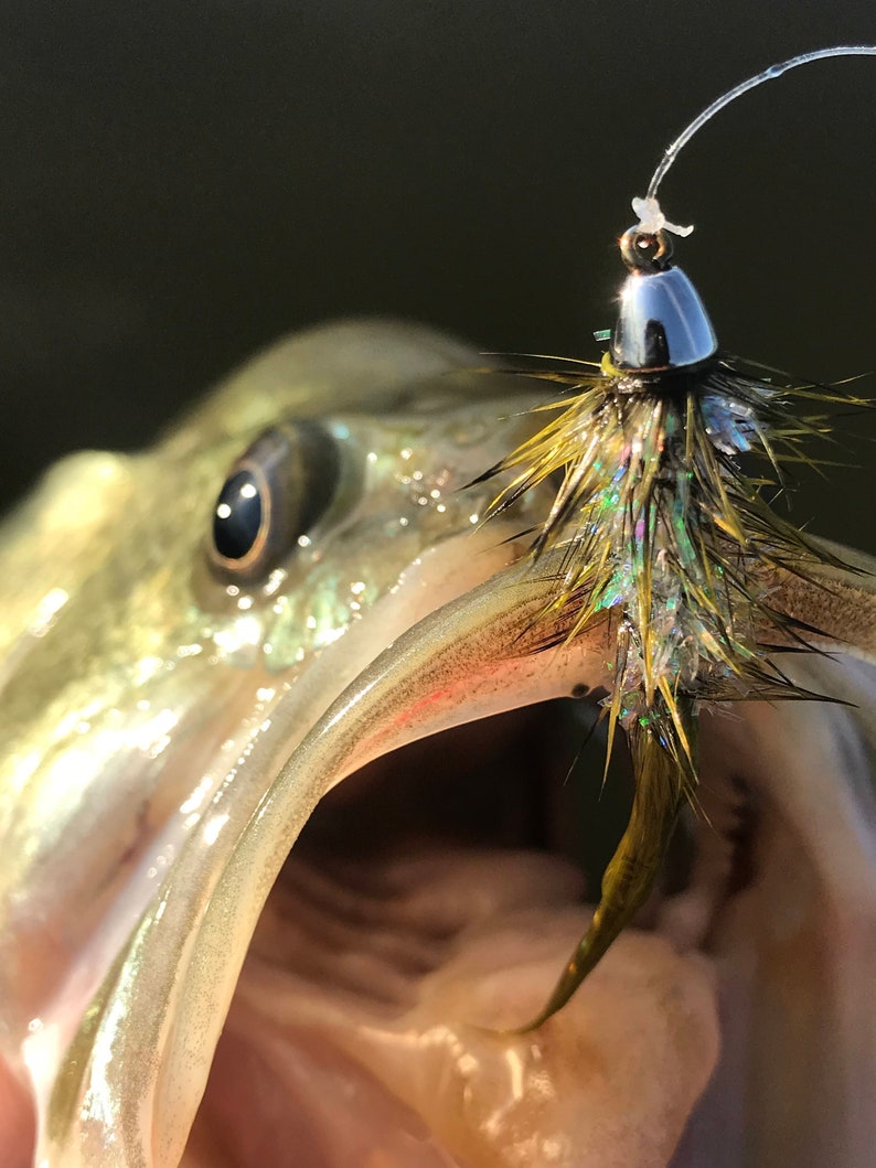 White Body Cone Head Wooly Bugger, Streamer - Etsy