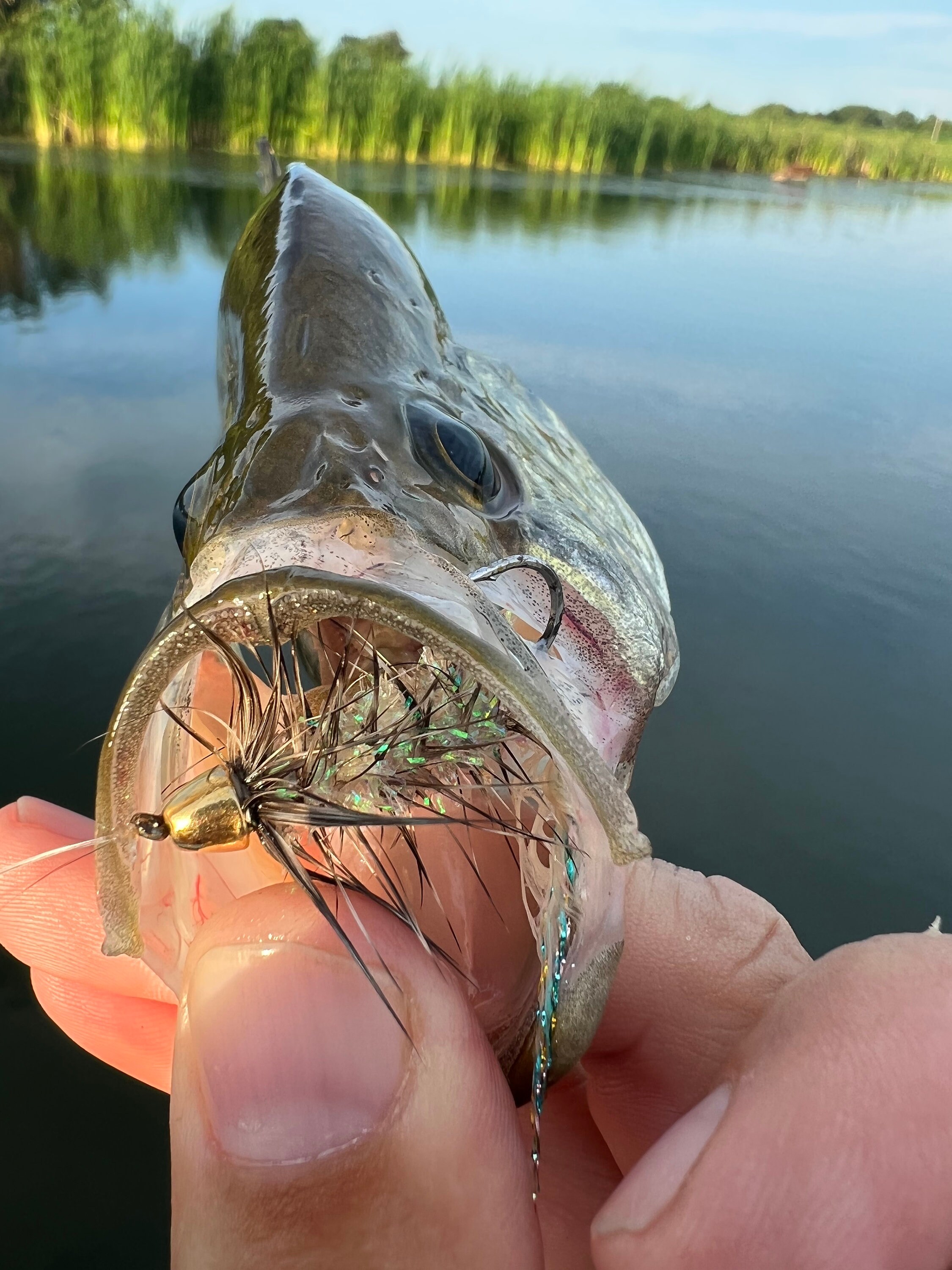All White Cone Head Wooly Bugger, Streamer - Etsy