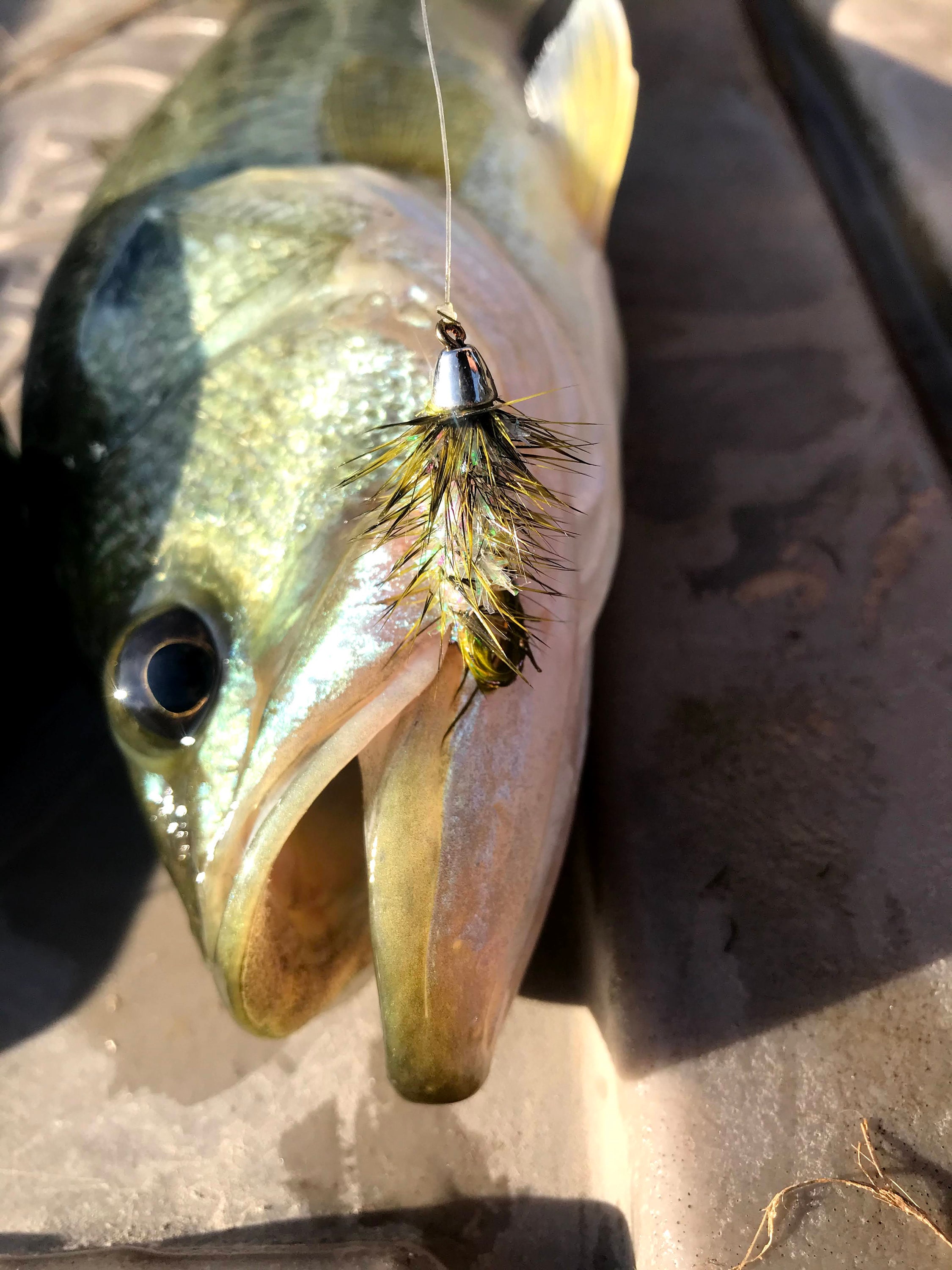 White Body Cone Head Wooly Bugger, Streamer - Etsy