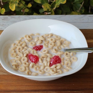 Bowl of Cheerios With Fake Strawberries and Milk - Etsy