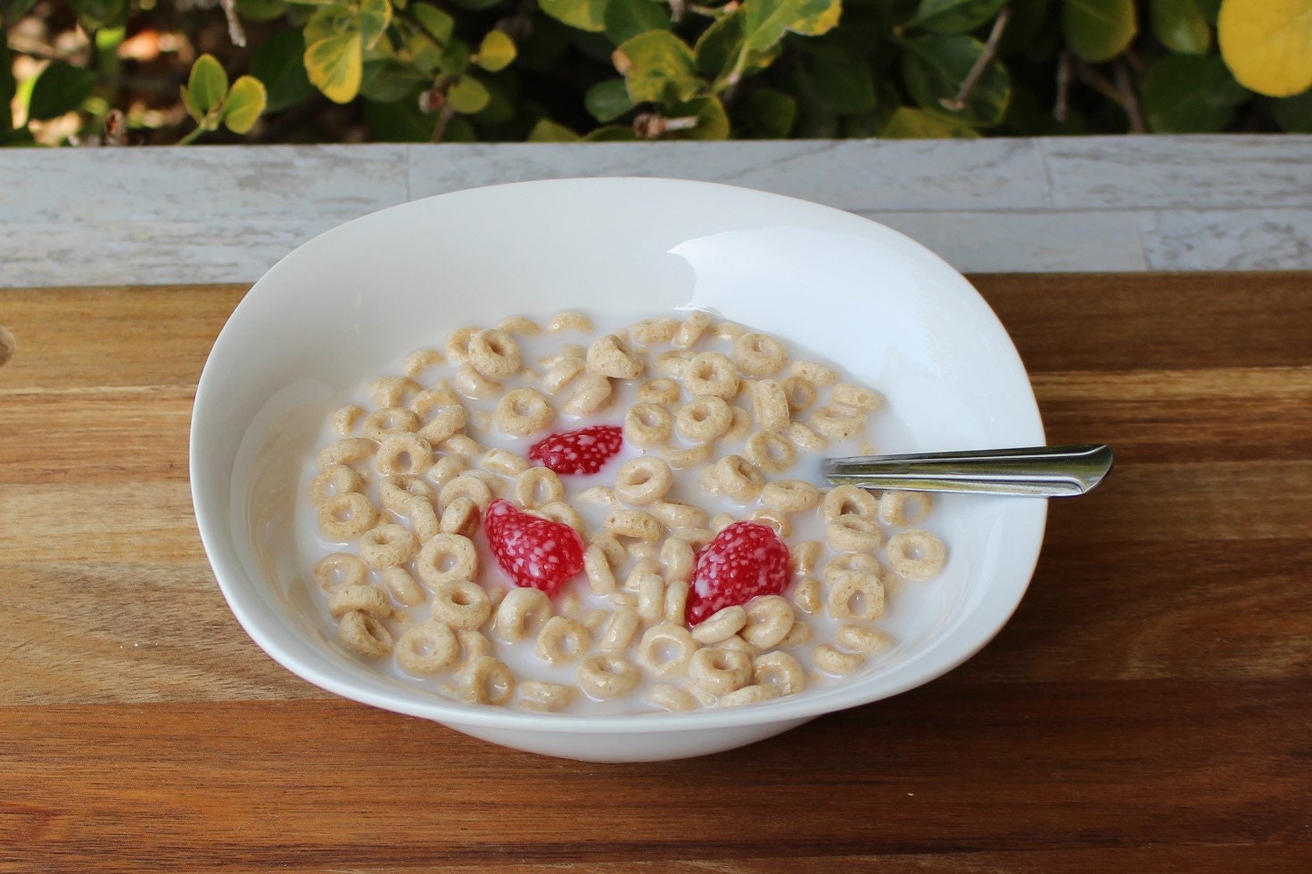 Bowl of Cheerios With Fake Strawberries and Milk - Etsy UK