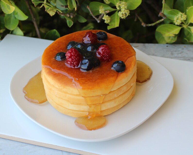 Fake Mini Pancakes | Etsy