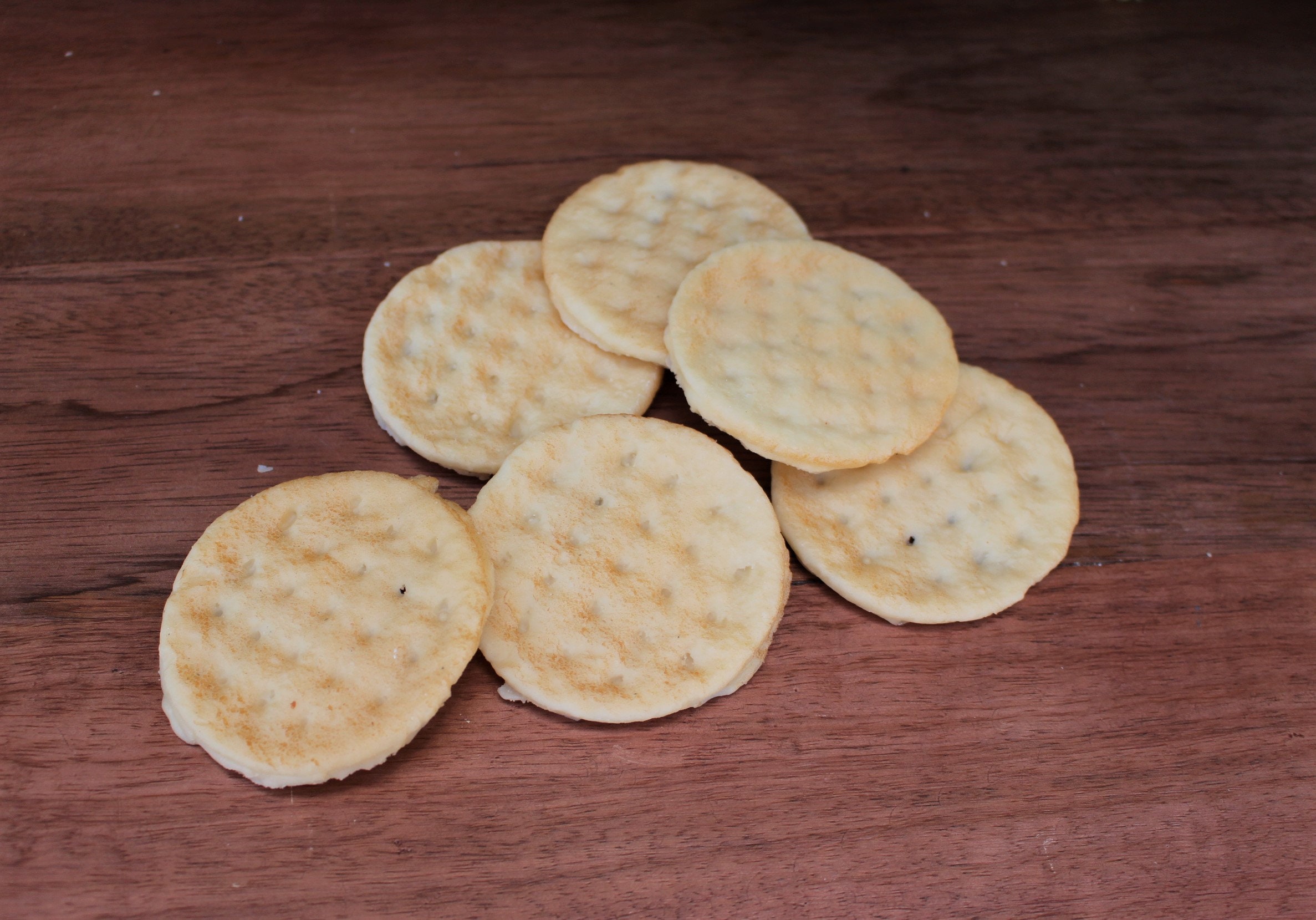 Fake Round Water Crackers set of 6 - Etsy
