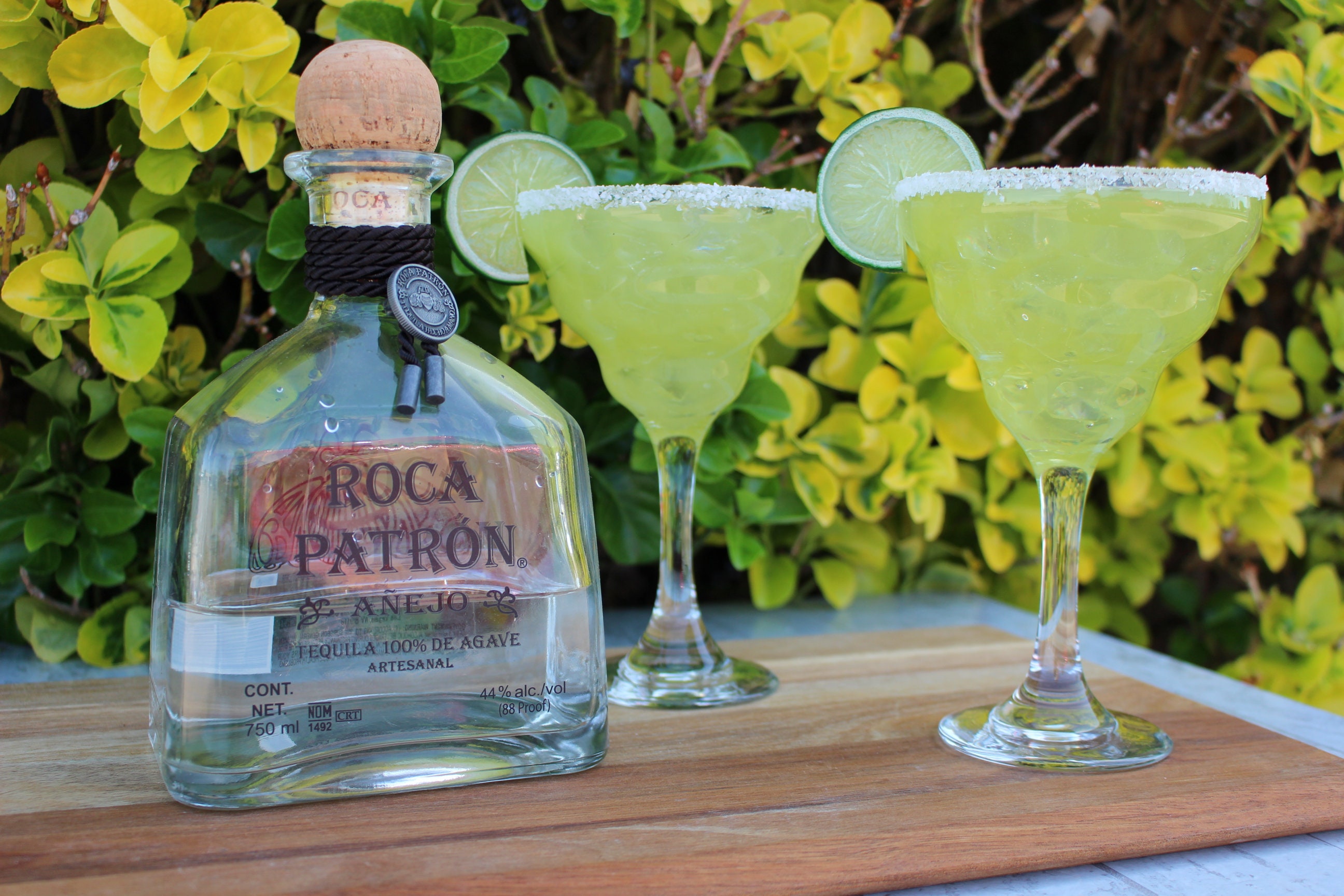 Filled Bottle of Fake Tequila and Margaritas Set | Etsy