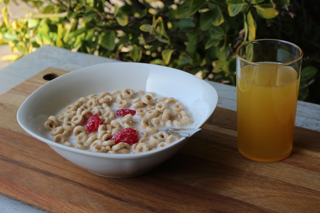 Bowl of Cheerios With Fake Strawberries and Milk - Etsy