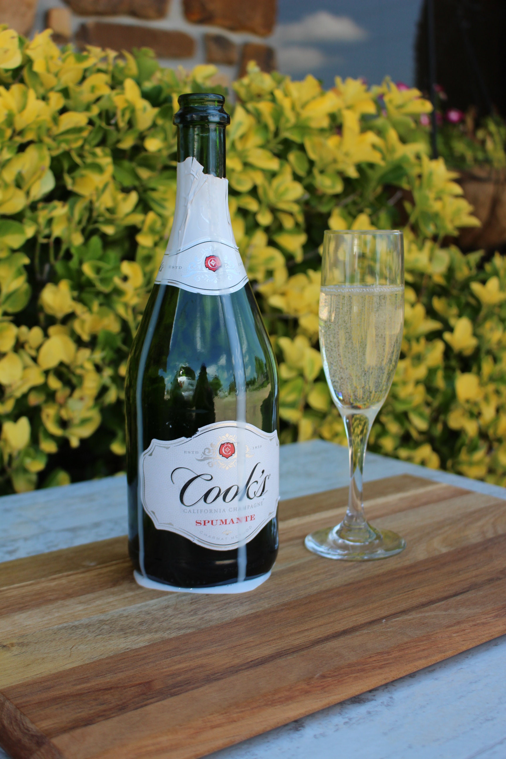 Filled Bottle of Fake Champagne - Etsy UK