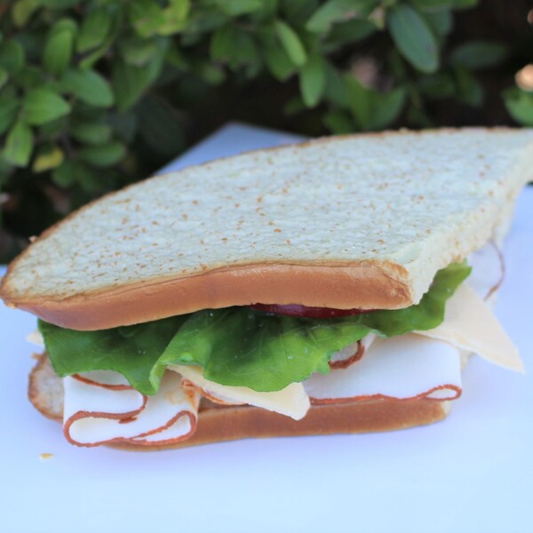 Fake Turkey Prop - Etsy