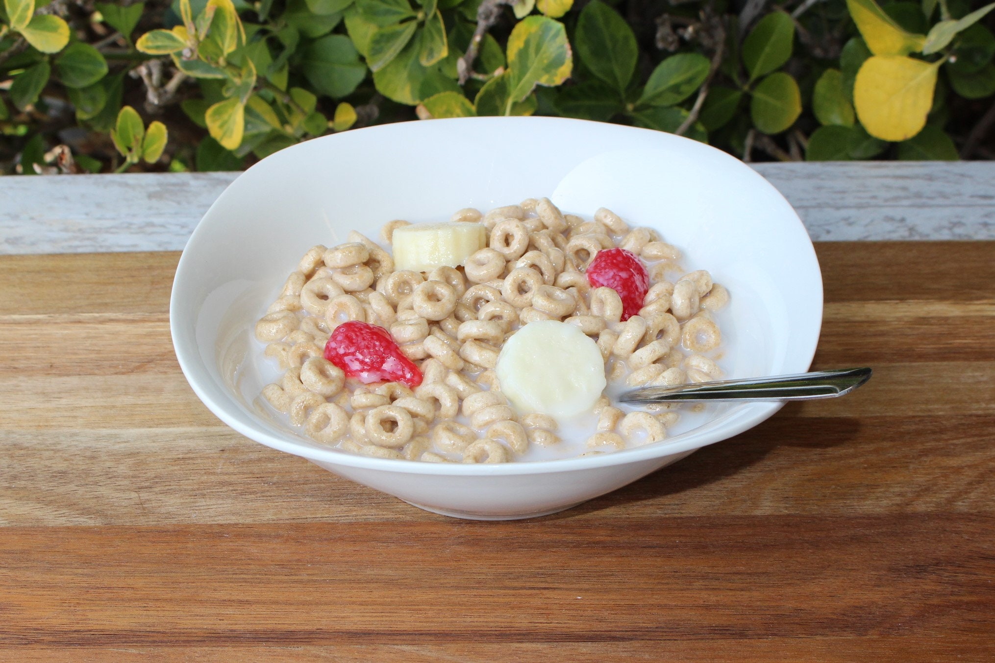 Bowl of Cheerios With Fake Strawberries and Bananas in Milk - Etsy