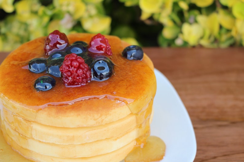 Fake Mini Pancakes - Etsy