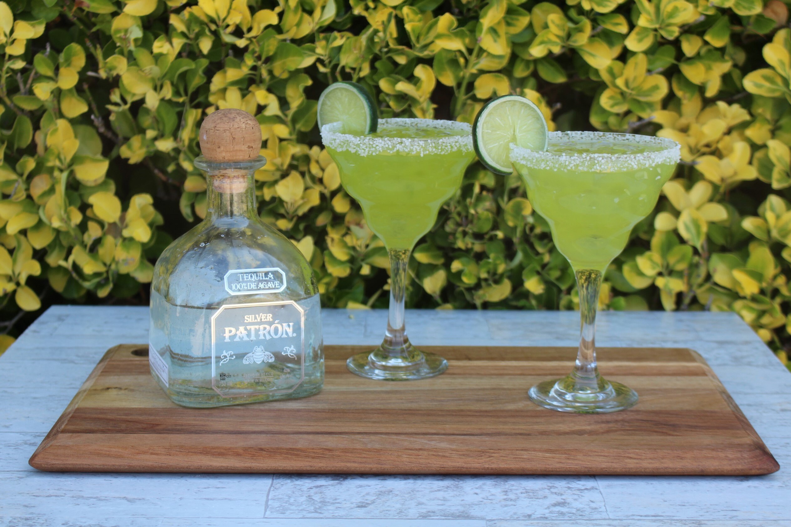 Filled Bottle of Fake Tequila and Margaritas Set | Etsy