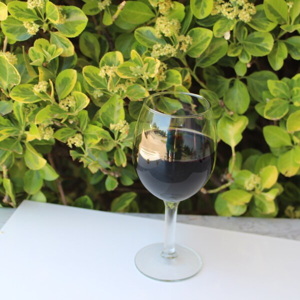 Fake Wine Glass Etsy