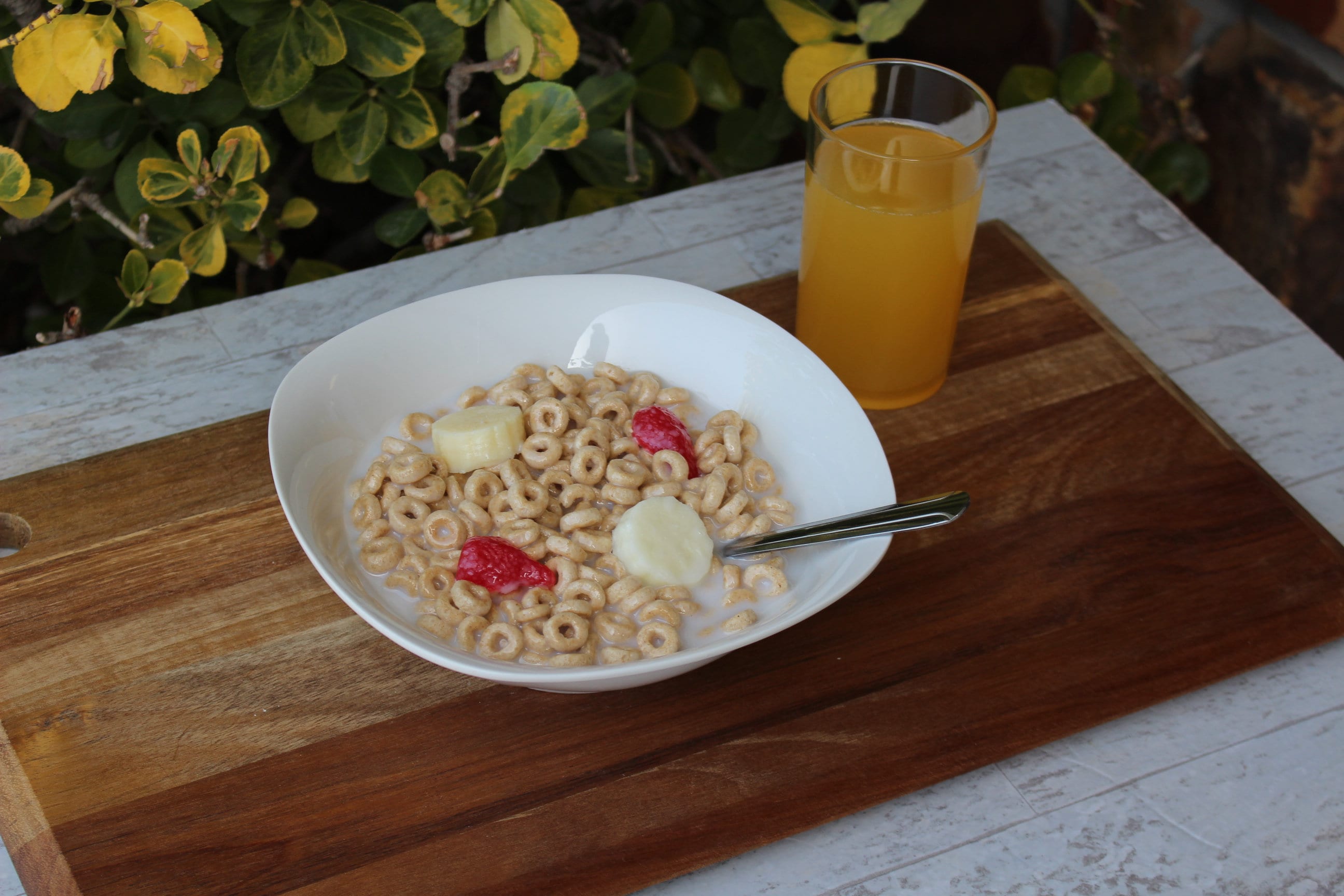 Bowl of Cheerios With Fake Strawberries and Bananas in Milk | Etsy