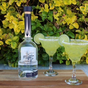 Filled Bottle of Fake Tequila and Margaritas Set - Etsy