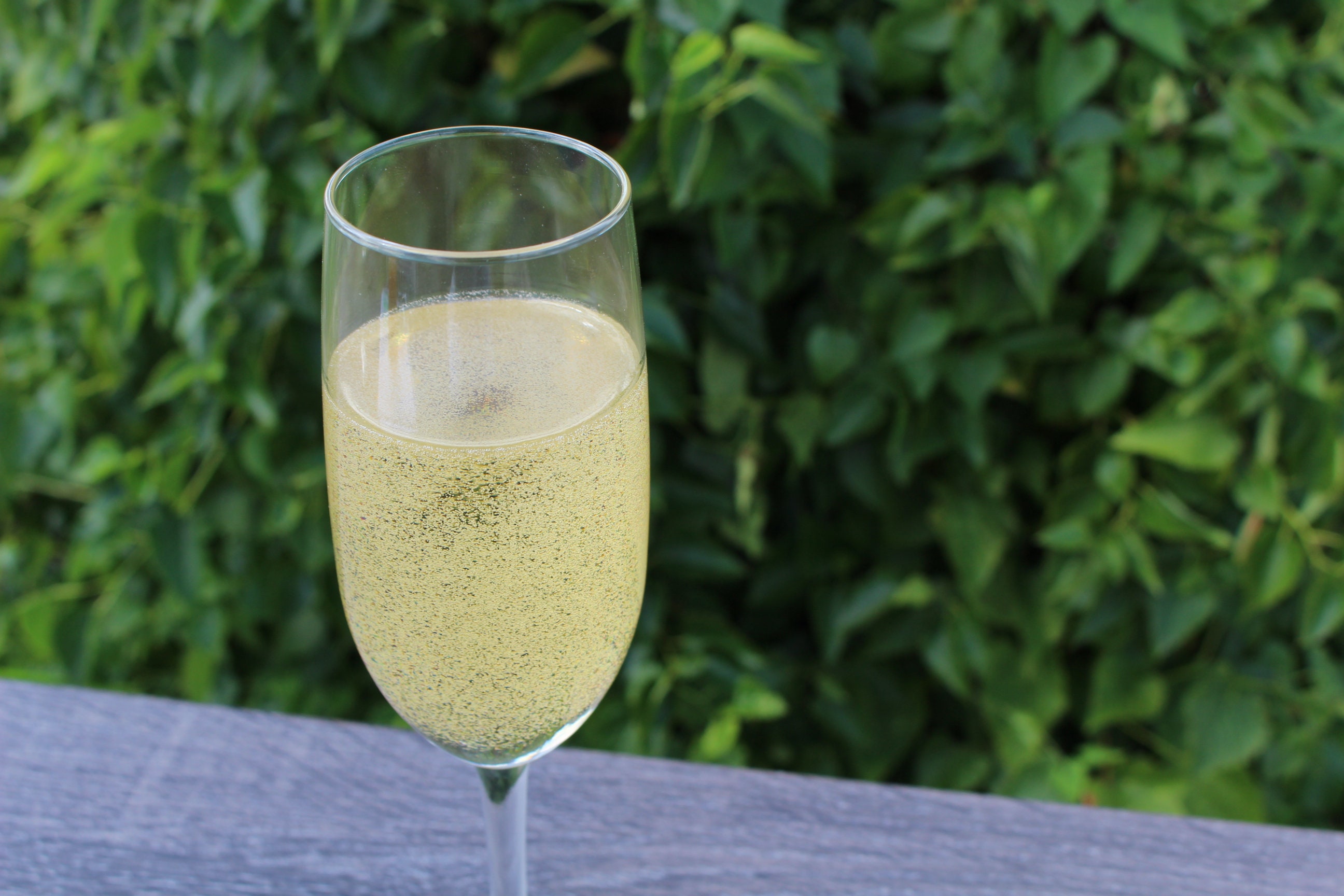 Glass of Fake Champagne - Etsy