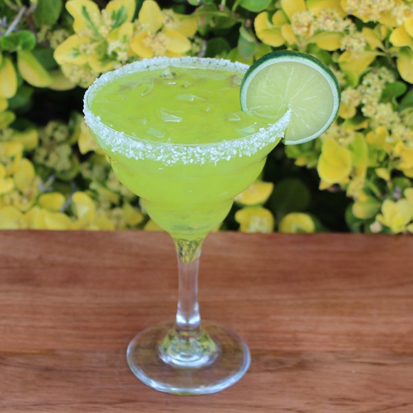 Fake Margarita - Etsy