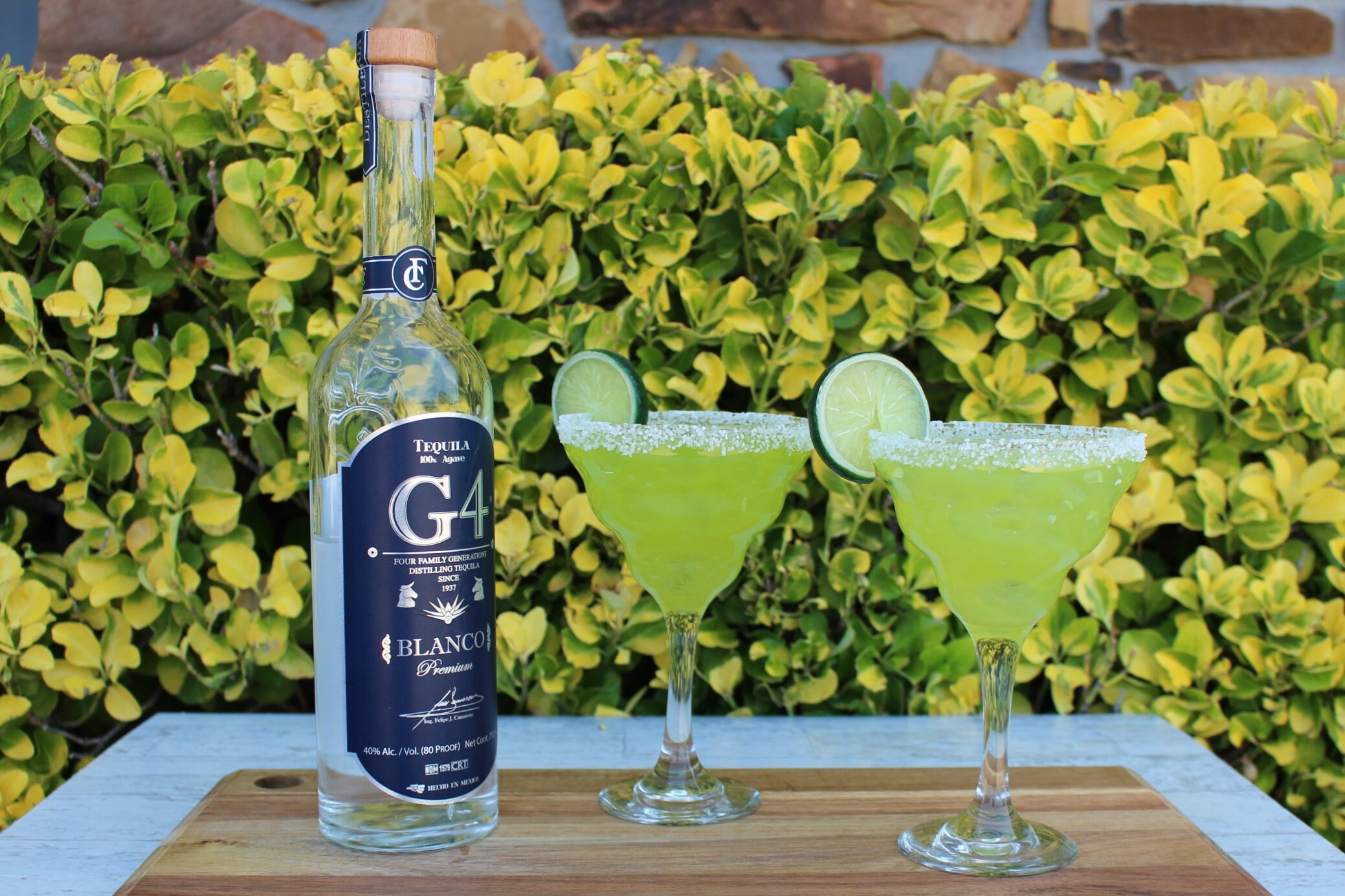 Filled Bottle of Fake Tequila and Margaritas Set | Etsy