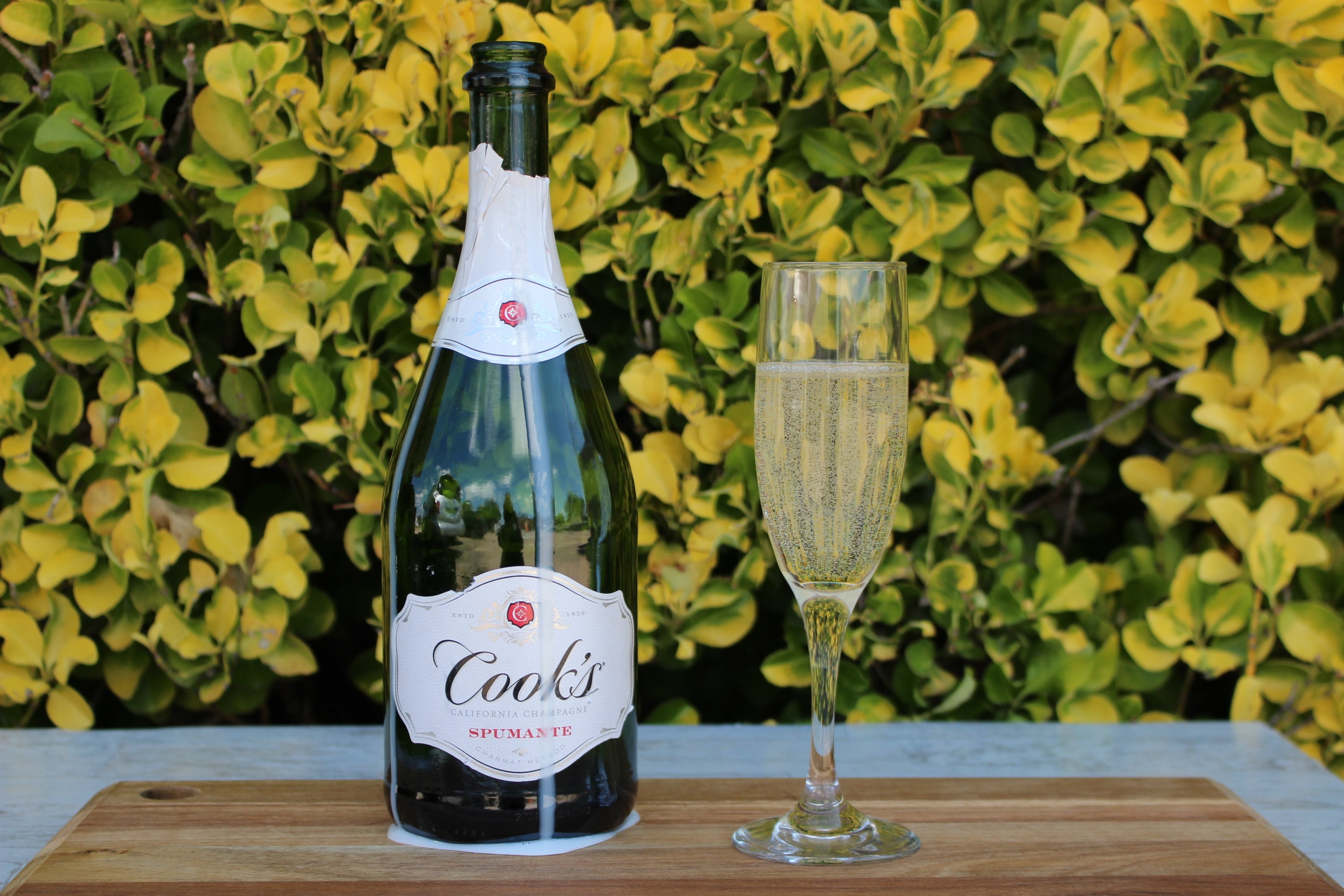 Filled Bottle of Fake Champagne - Etsy UK