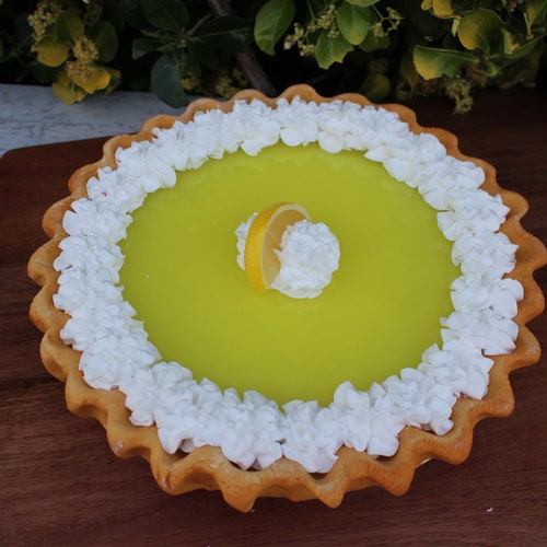 Fake Triple Layer Lemon Cake - Etsy