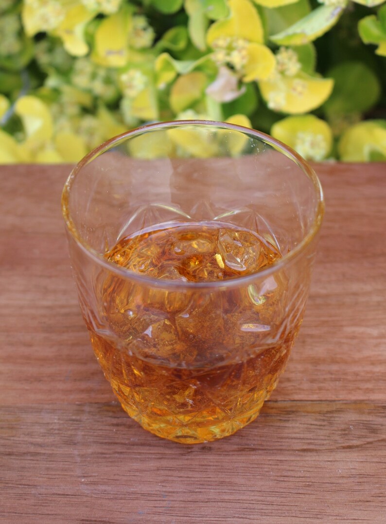 Fake Whiskey Glass - Etsy