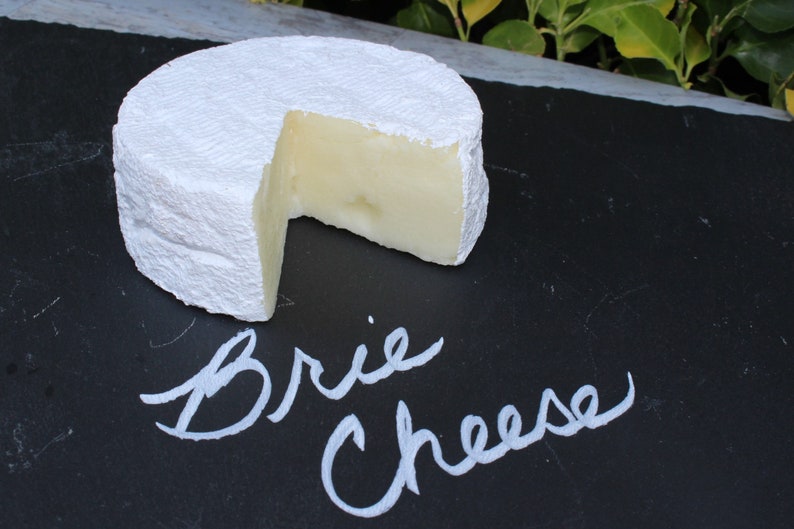 Fake Brie Cheese Round | Etsy