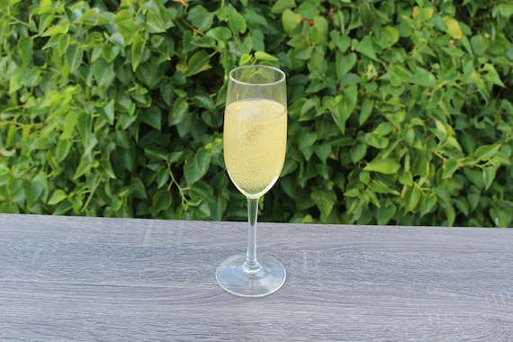Glass of Fake Champagne | Etsy