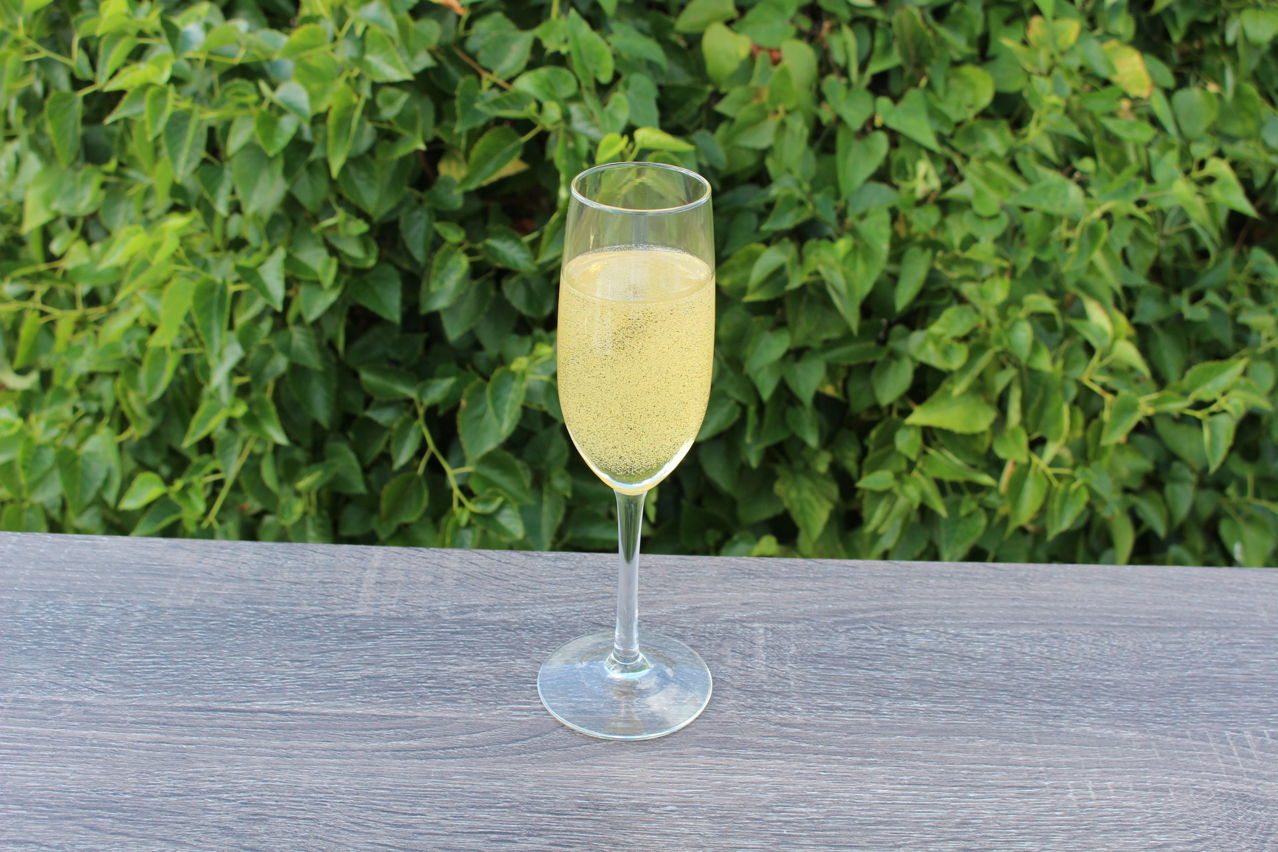 Glass of Fake Champagne - Etsy