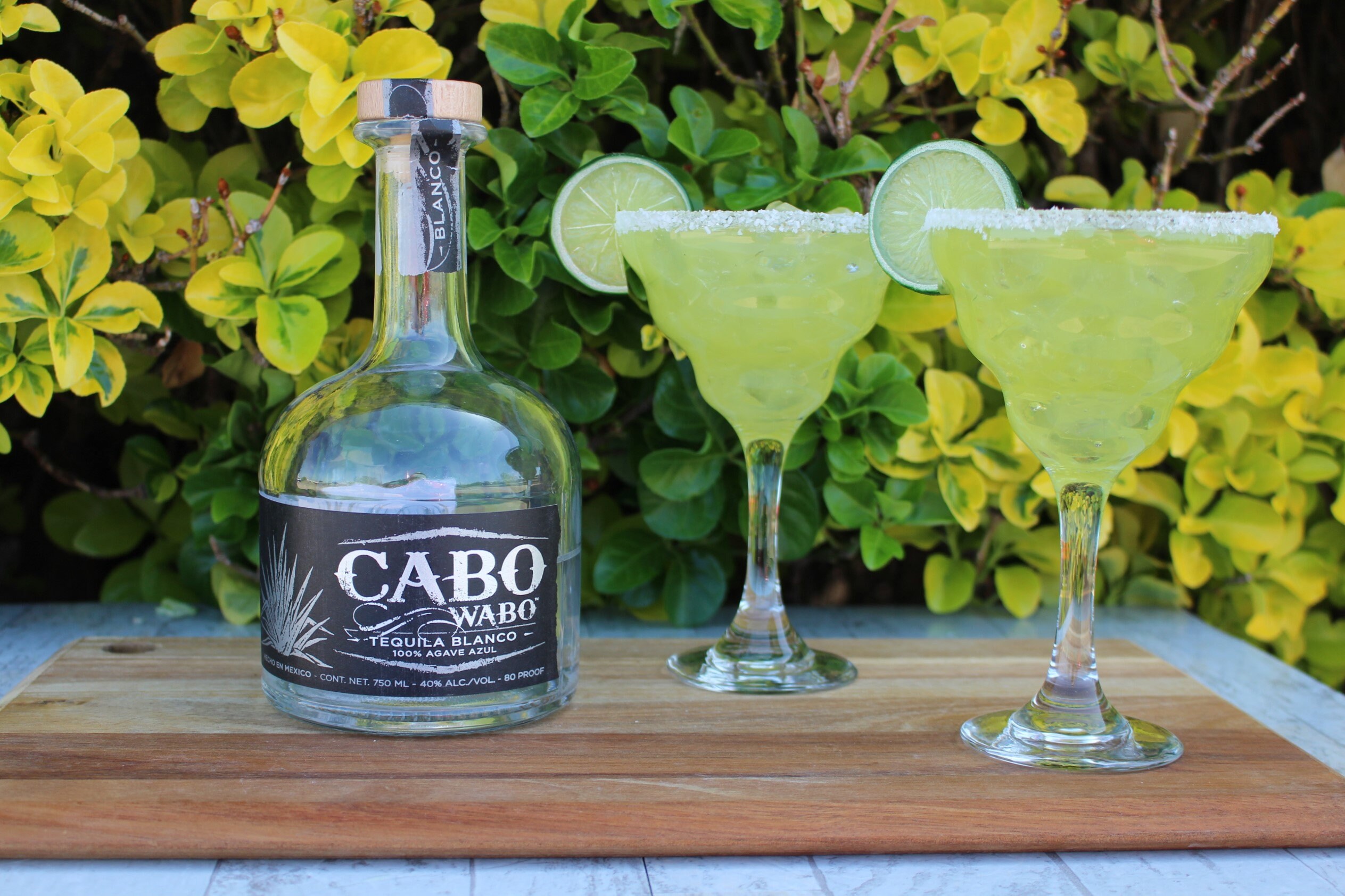 Filled Bottle of Fake Tequila and Margaritas Set | Etsy