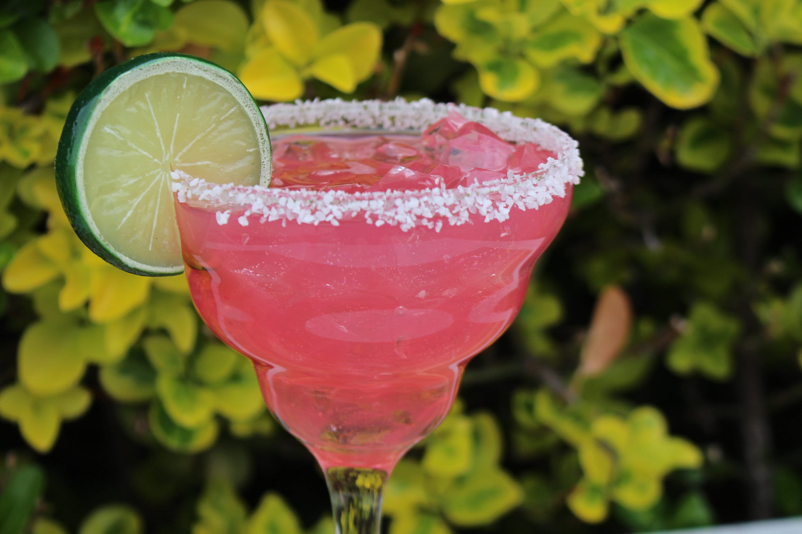 Fake Strawberry Margarita | Etsy