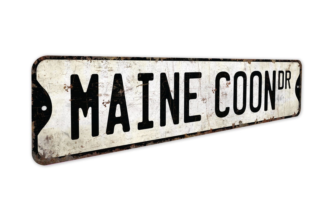 Maine Coon - Maine Coon Cat - Maine Coon Sign - Cat Lover Gif - Vintage ...