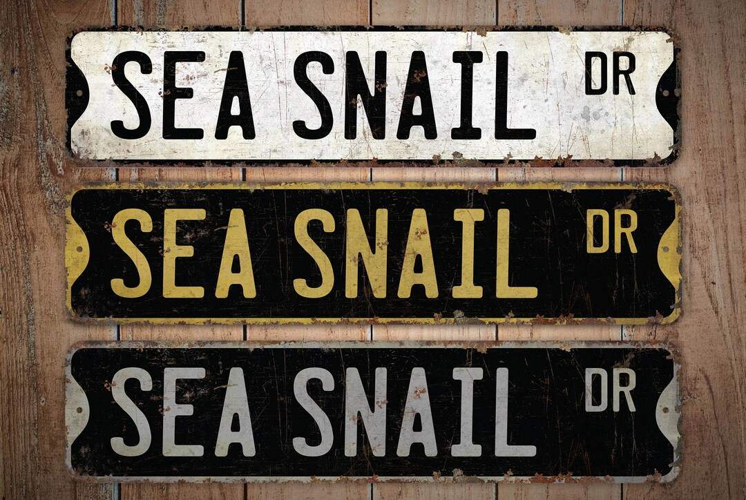 Sea Snail - Sea Snail Sign - Sea Snail Decor - Sea Snail Lover - Custom ...