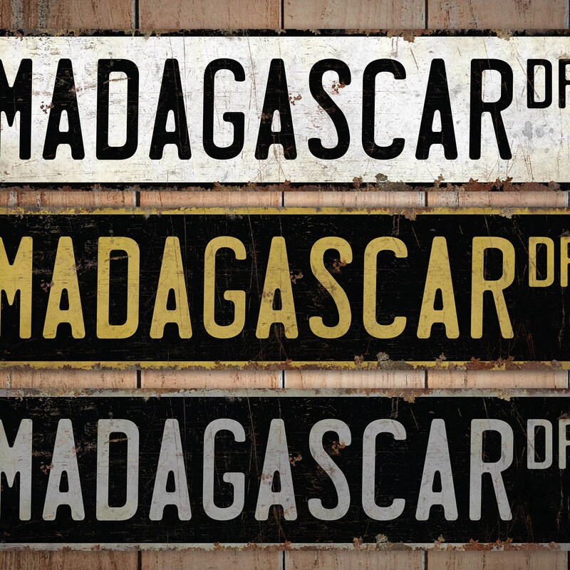 Madagascar Party - Etsy