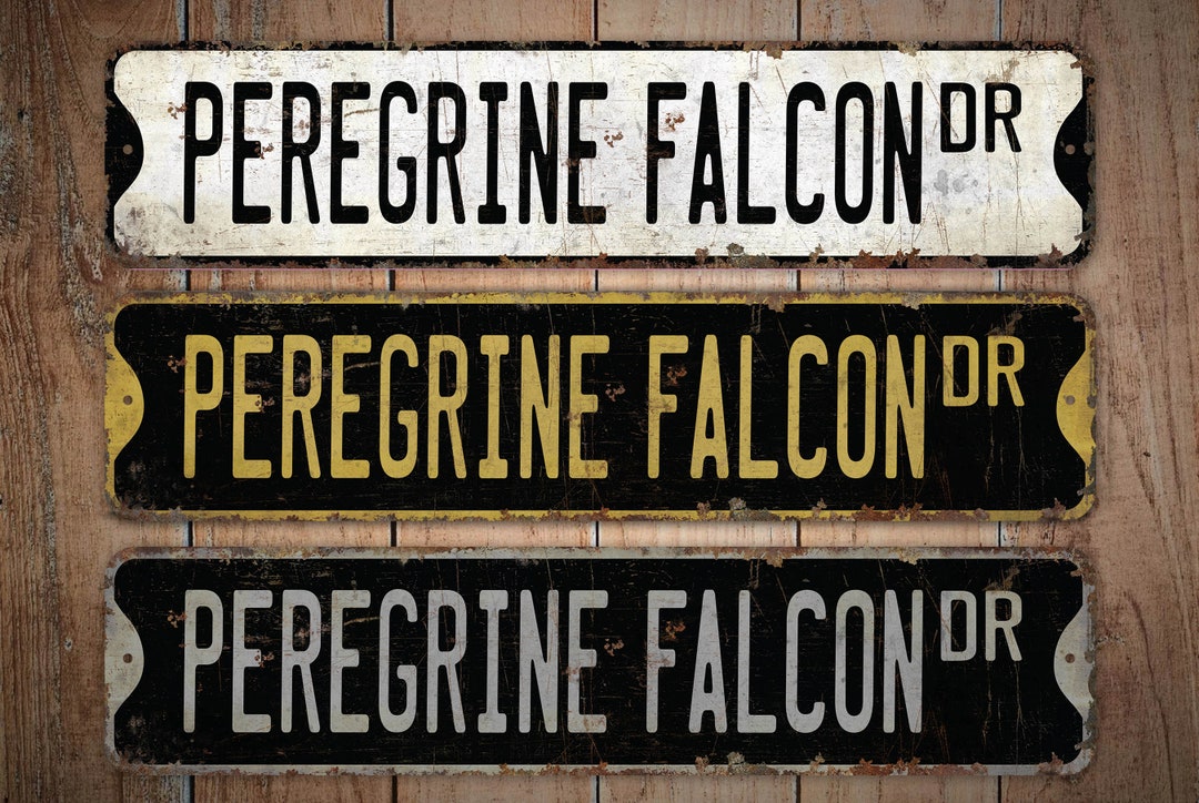Peregrine Falcon - Peregrine Falcon Sign - Peregrine Falcon Decor ...