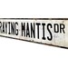 Praying Mantis - Praying Mantis Sign - Praying Mantis Decor - Praying ...