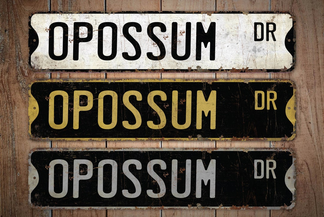 Opossum - Opossum Sign - Opossum Decor - Opossum Lover - Custom Street ...