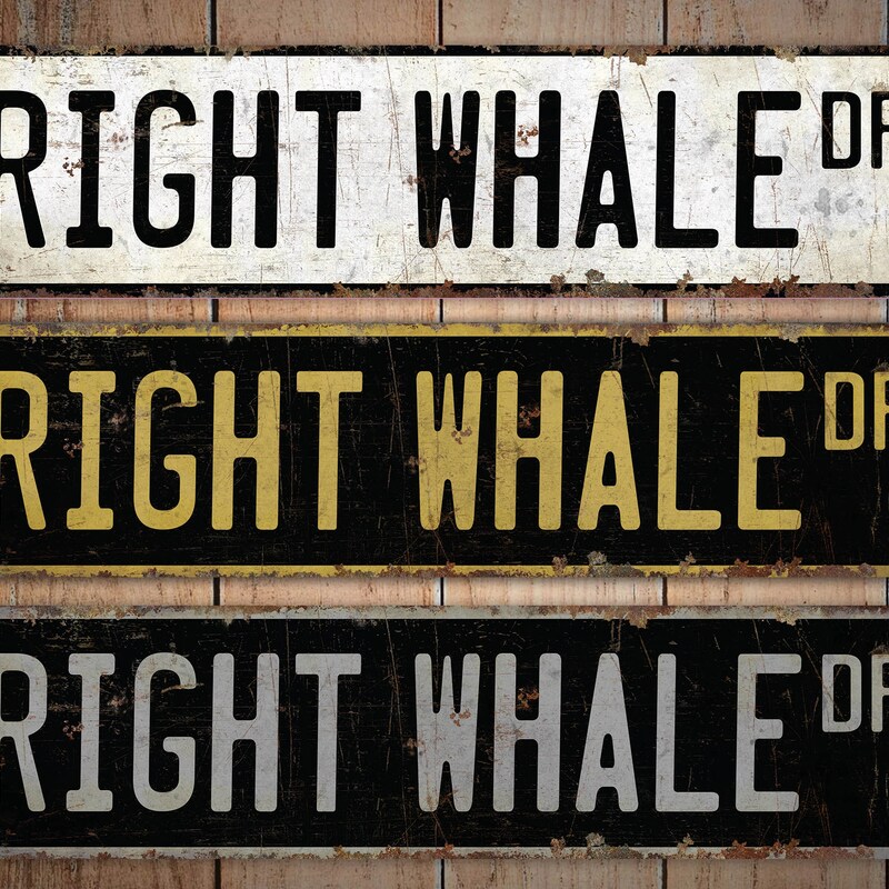 Whale Sign - Etsy