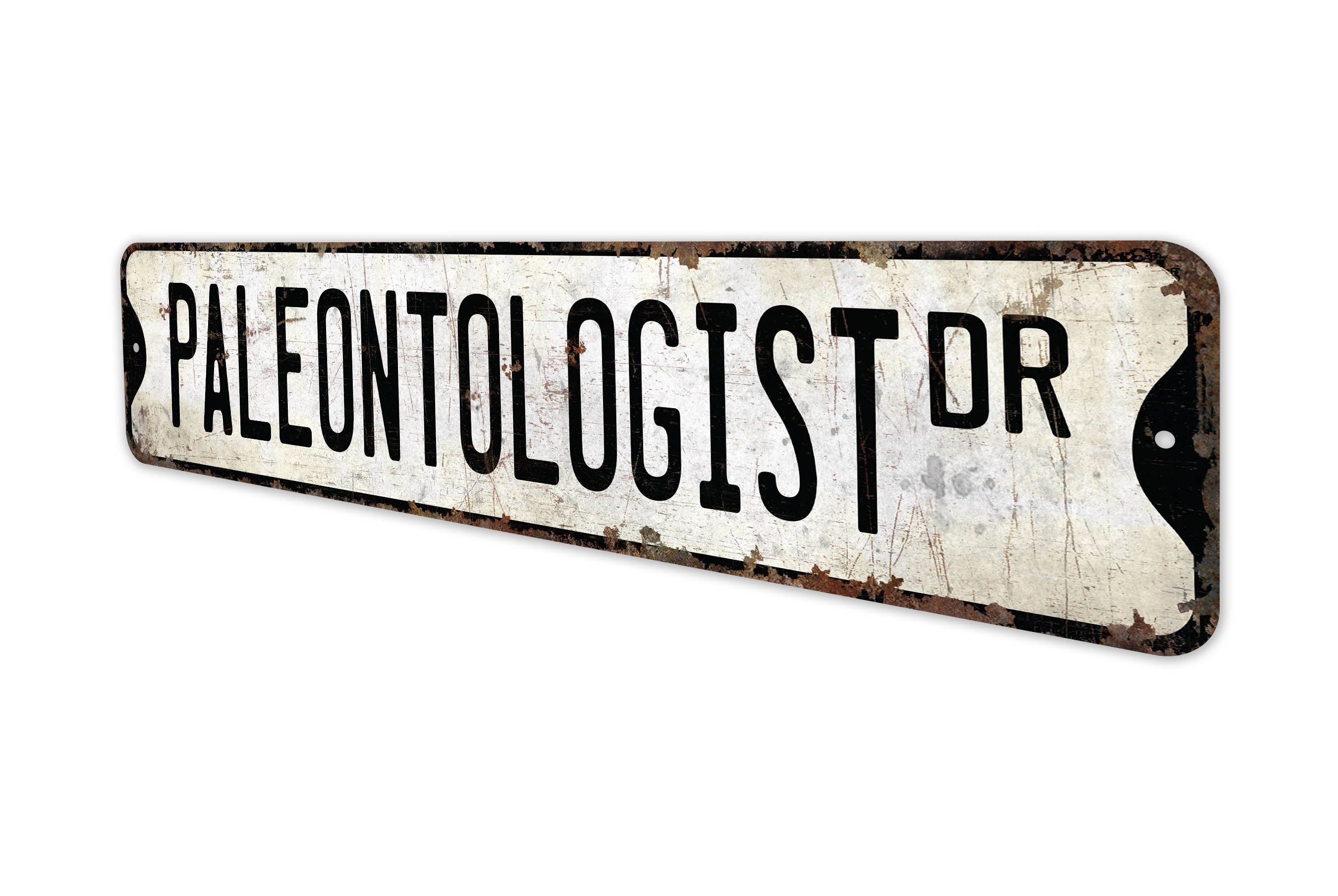Paleontologist - Paleontologist Sign - Paleontologist Decor - Vintage ...