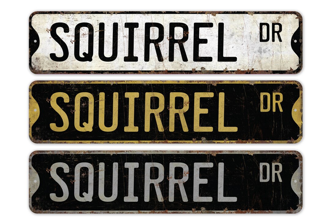 Squirrel - Squirrel Sign - Squirrel Decor - Squirrel Lover Gift ...